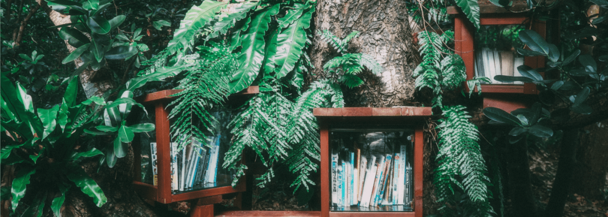 The Exciting Childhood of the Cow, Fox, and Gnu – J. E. Martin Books